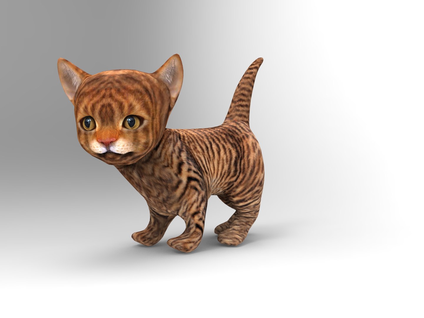 Cute Cat Animation 3D Model - TurboSquid 1219640