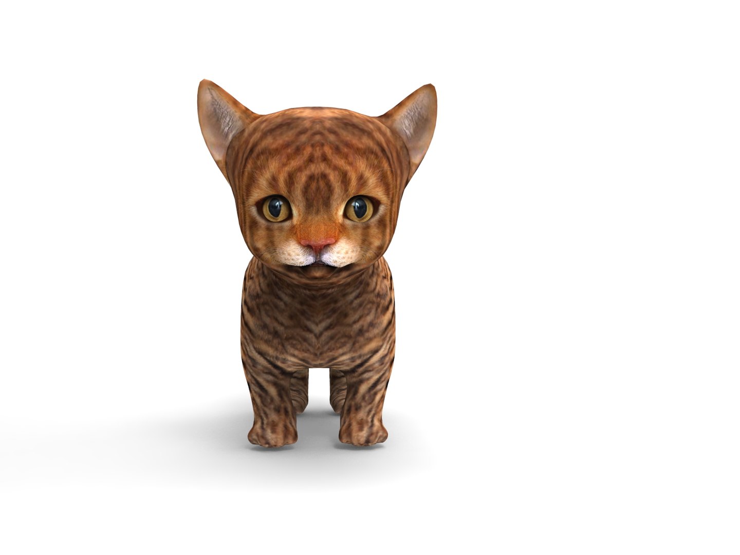 Cute Cat Animation 3D Model - TurboSquid 1219640