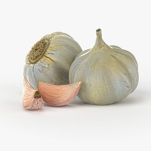 3d model realistic turnip real