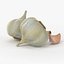 Realistic Garlic Real Vegetables 3d Model