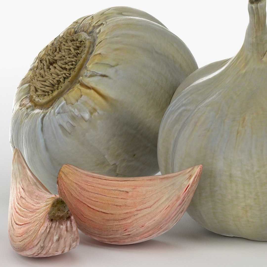 Realistic Garlic Real Vegetables 3d Model