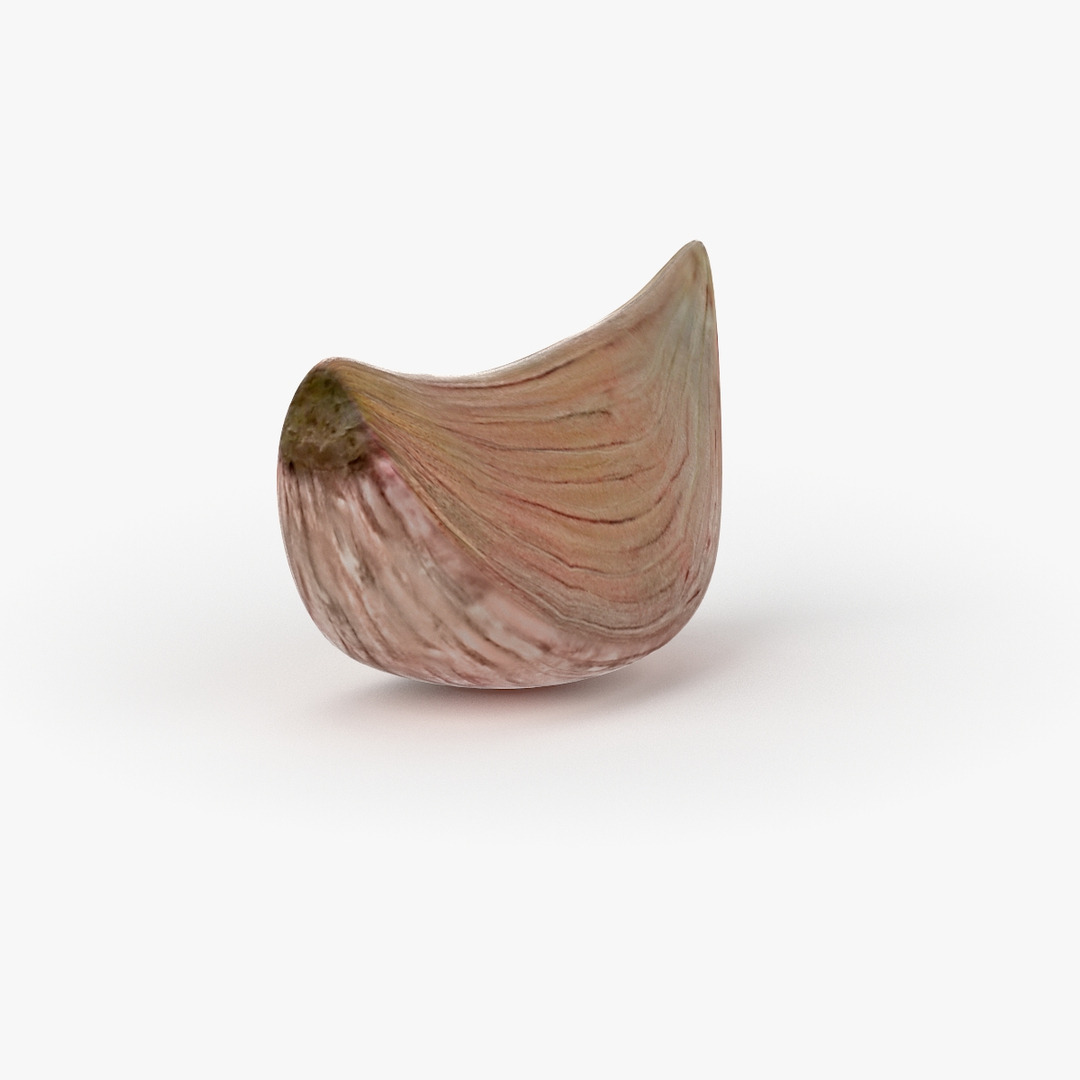 Realistic Garlic Real Vegetables 3d Model