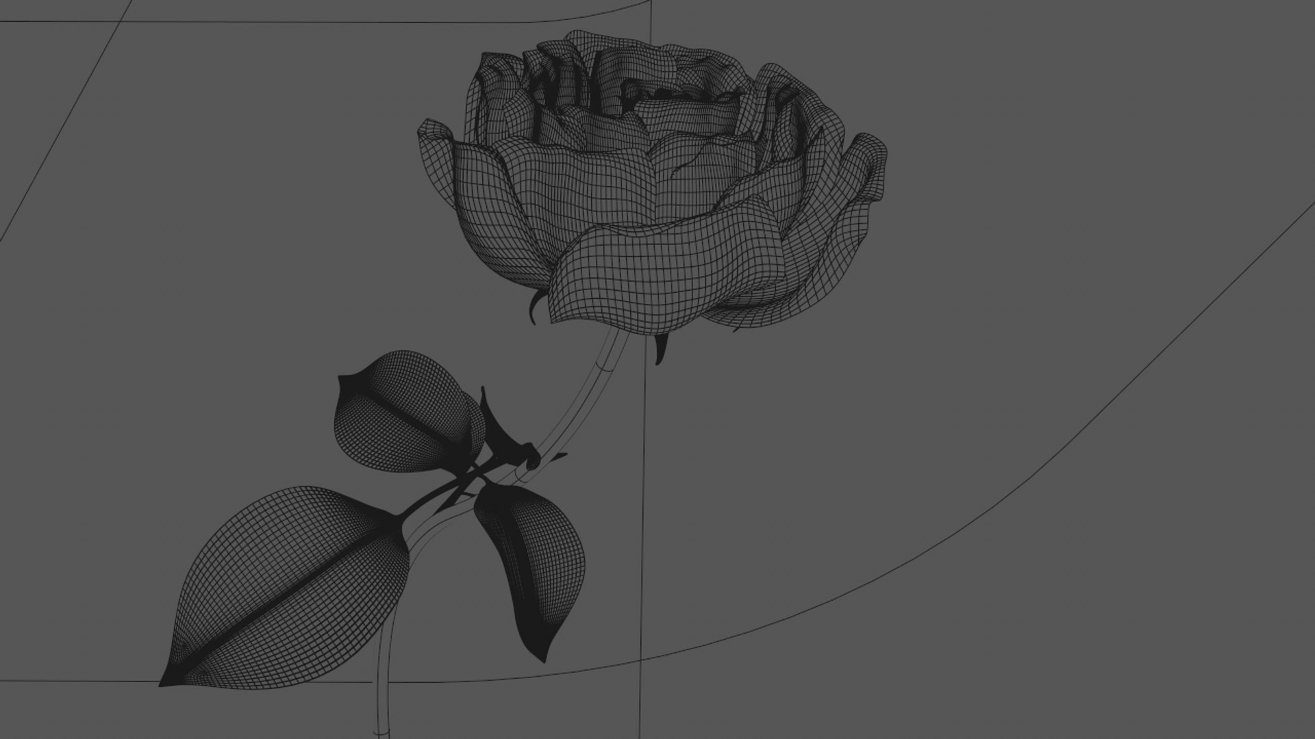 3D Rose Blossom Animation Model - TurboSquid 1348132