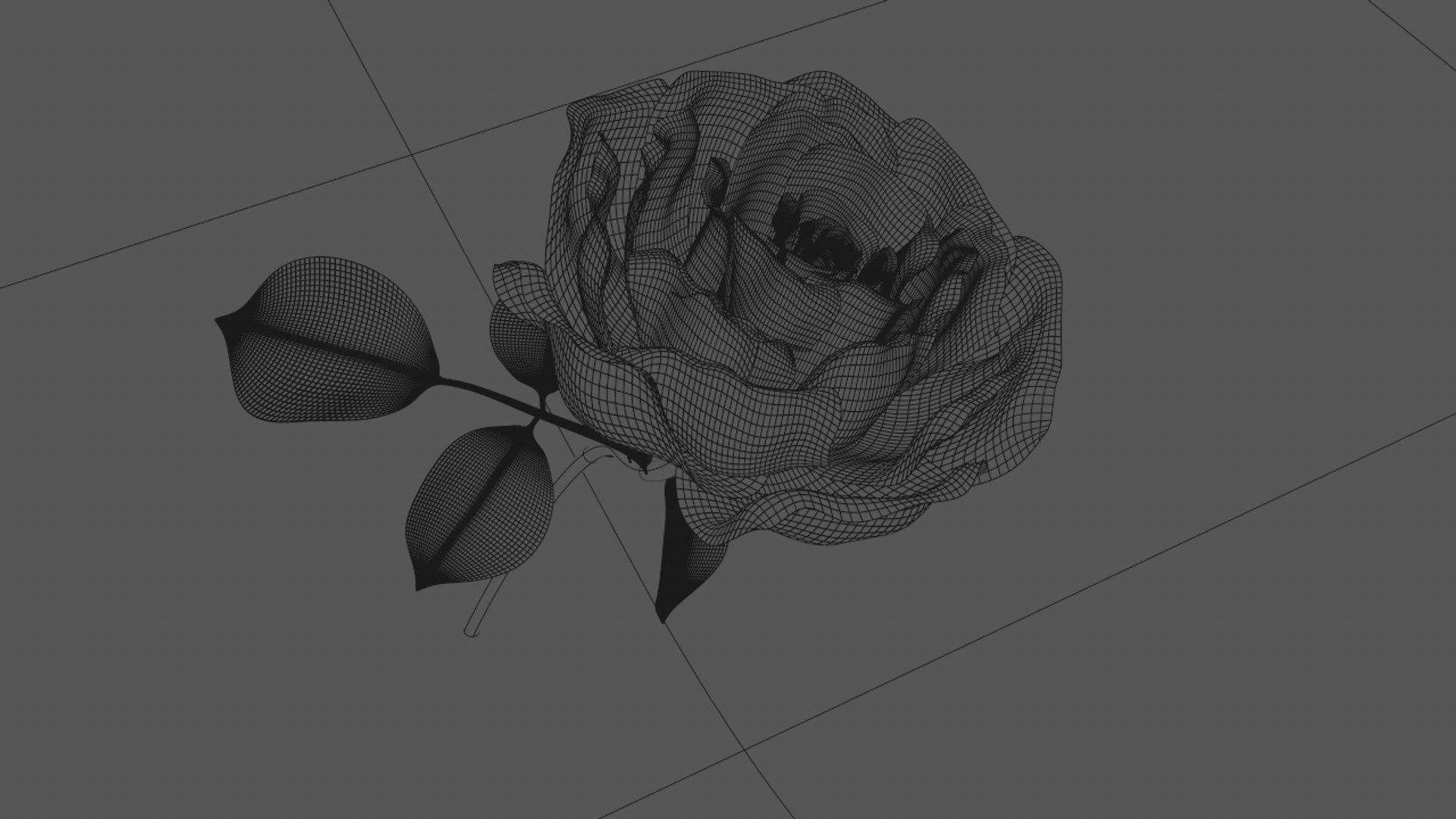 3D Rose Blossom Animation Model - TurboSquid 1348132