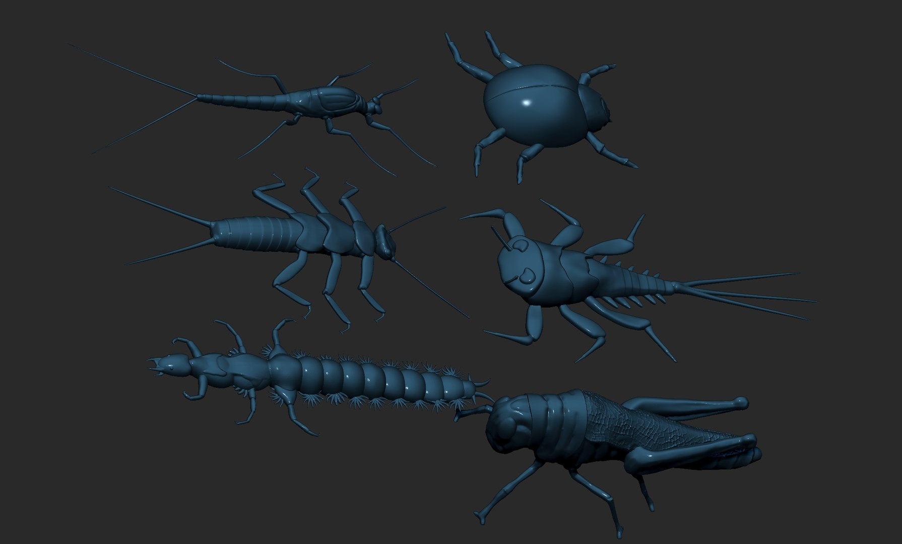 3D Model Insects - TurboSquid 2139816