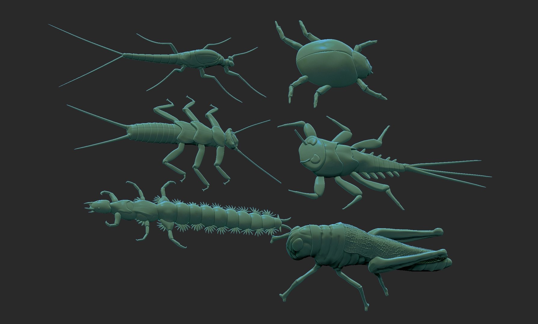 3D Model Insects - TurboSquid 2139816