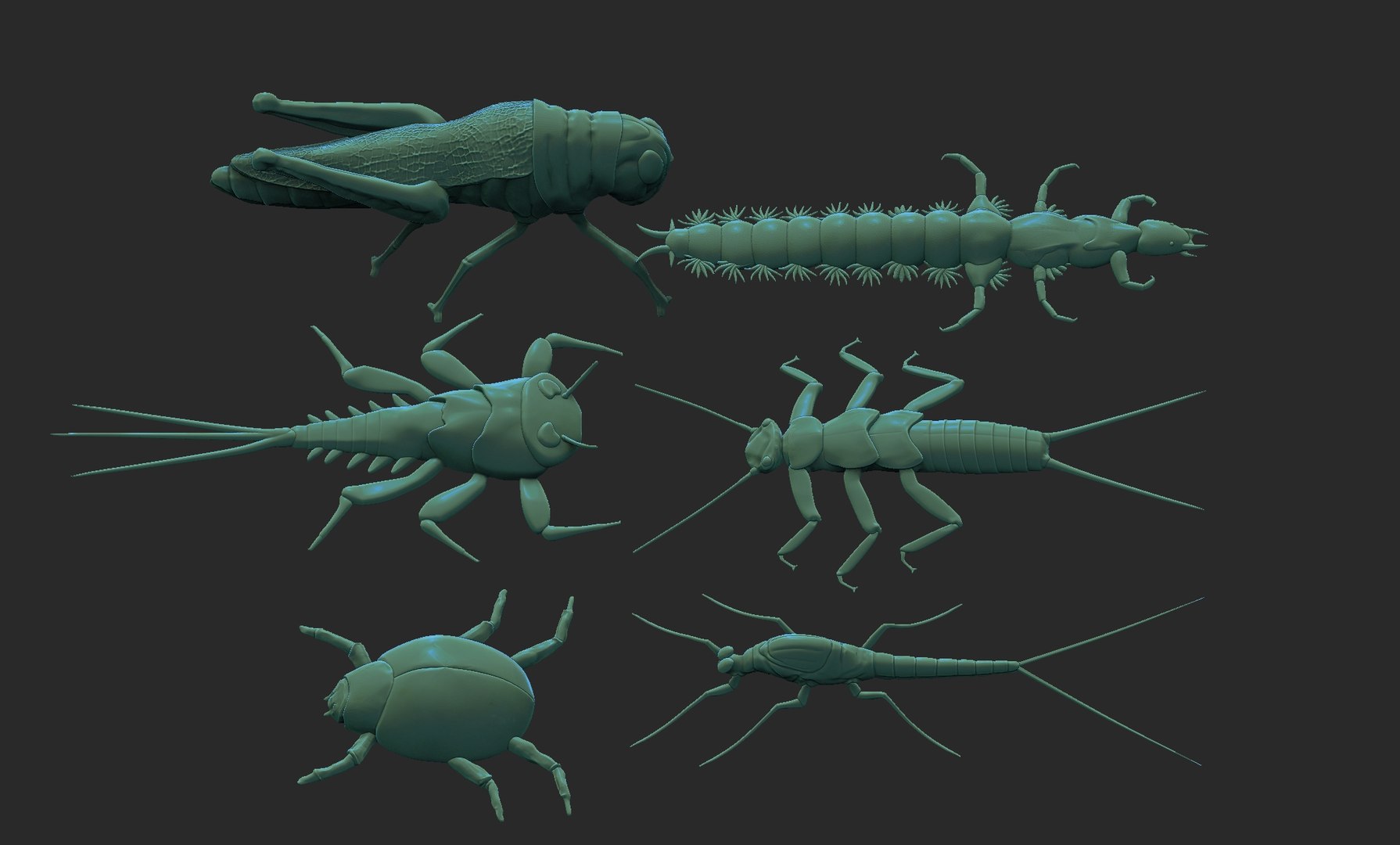 3D Model Insects - TurboSquid 2139816