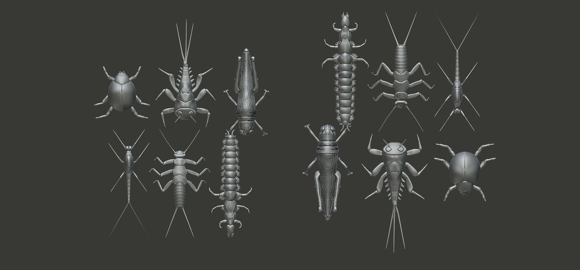 3D Model Insects - TurboSquid 2139816