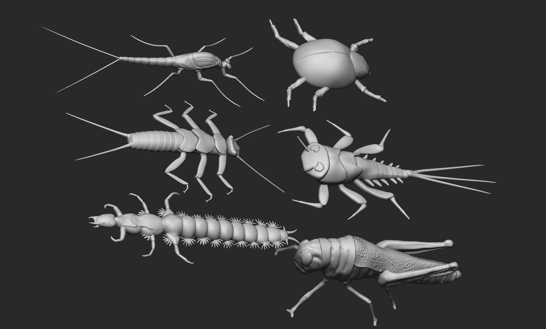 3D Model Insects - TurboSquid 2139816