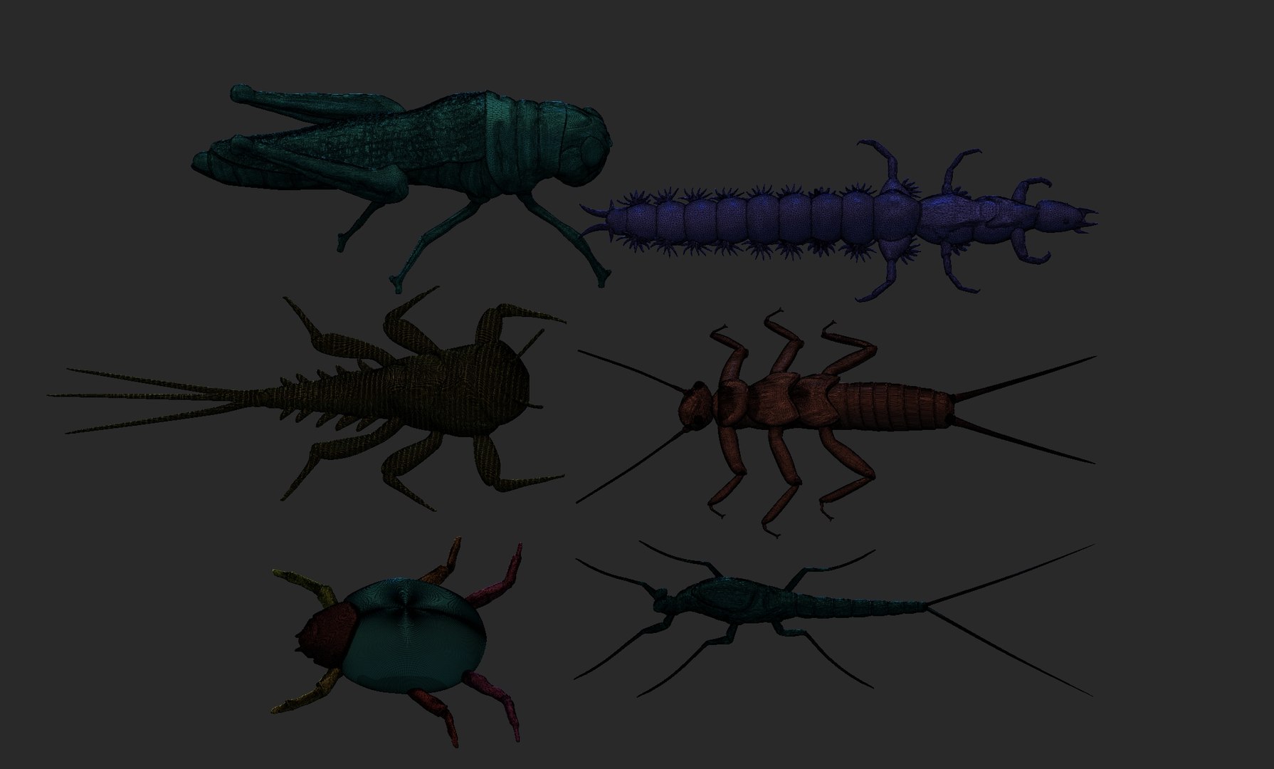 3D Model Insects - TurboSquid 2139816