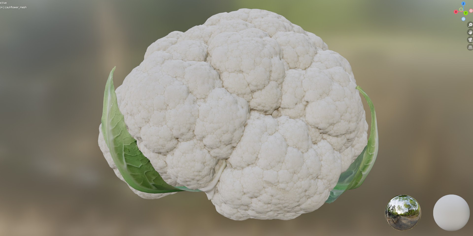 4k Cauliflower Model - TurboSquid 1992916