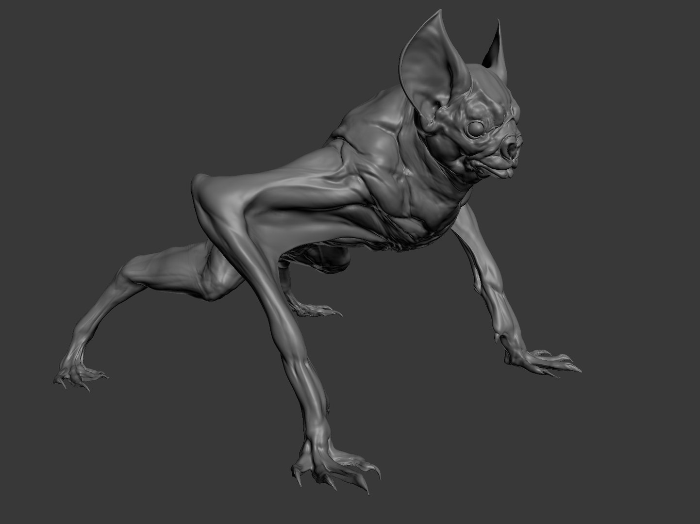 Bat Model - TurboSquid 1895845