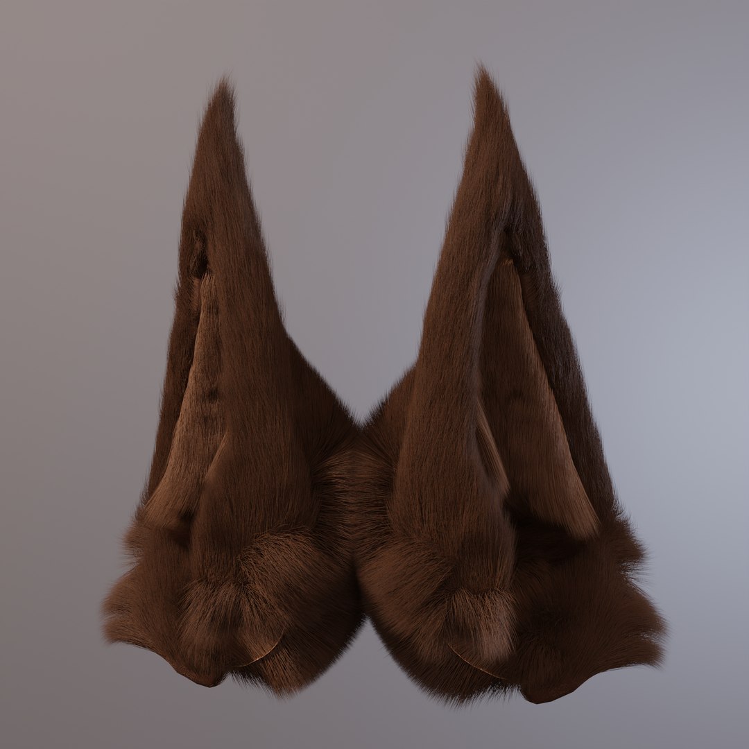 Fox Ears 3D Model - TurboSquid 2151157