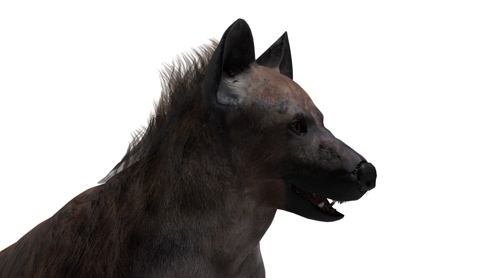 3D Rigged Hyena With A Single Animation - TurboSquid 2440111
