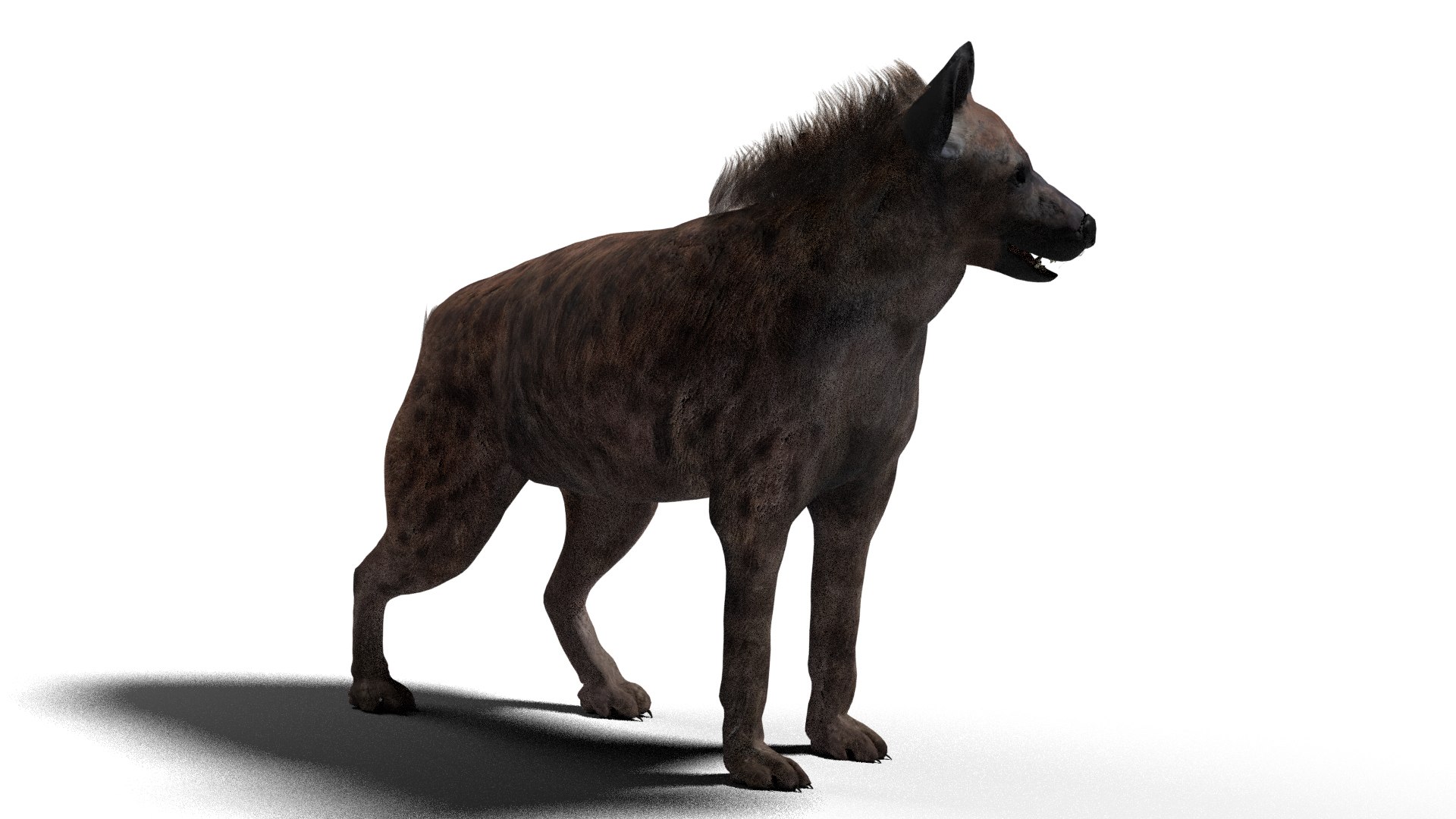 3D Rigged Hyena With A Single Animation - TurboSquid 2440111