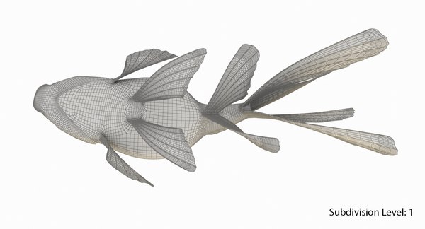 3D model goldfish 2 animation - TurboSquid 1154992