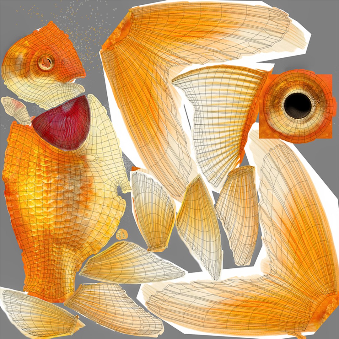 3D model goldfish 2 animation - TurboSquid 1154992