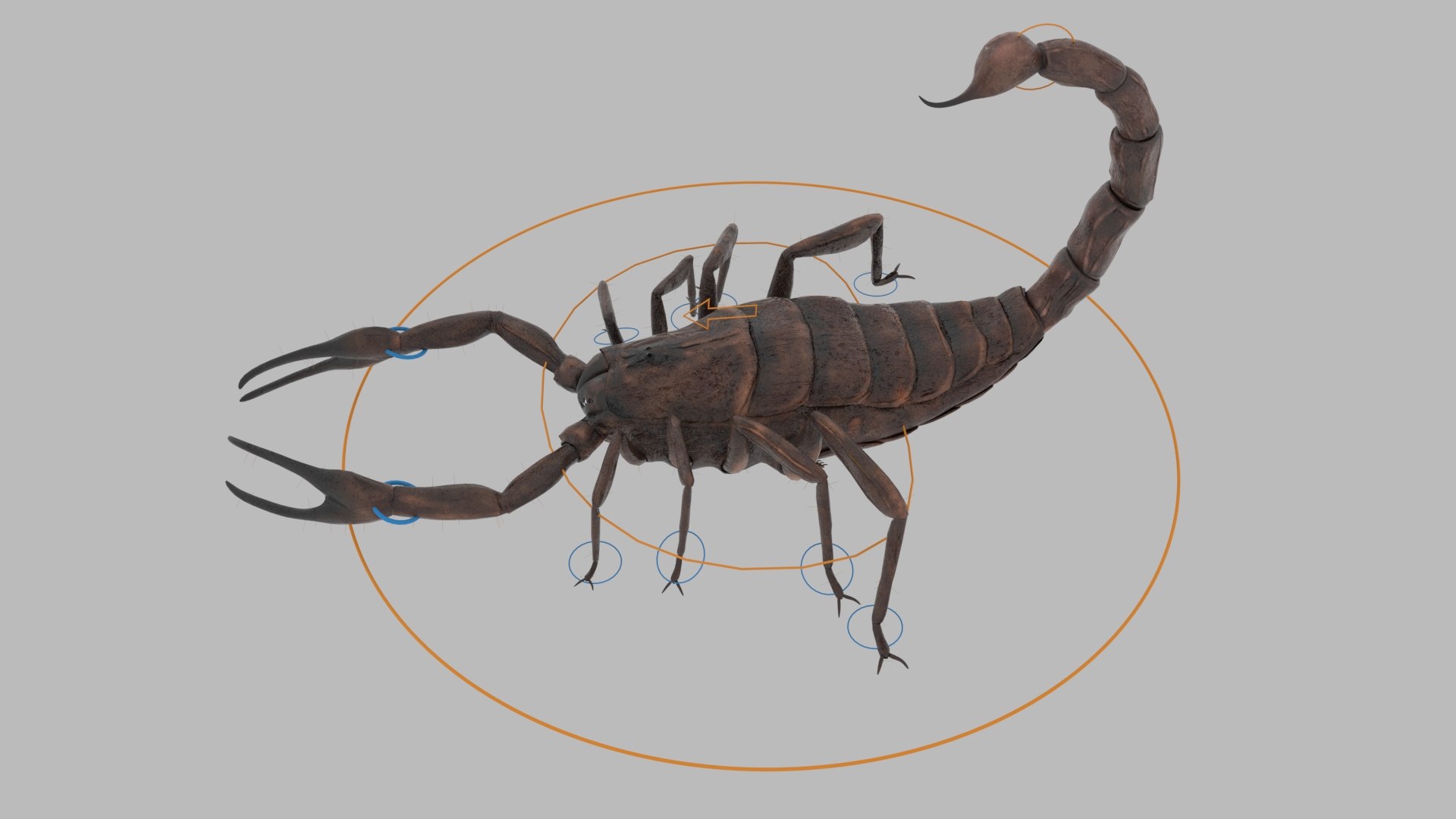 3D SCORPION 3D MODEL REALTIME - TurboSquid 2173287
