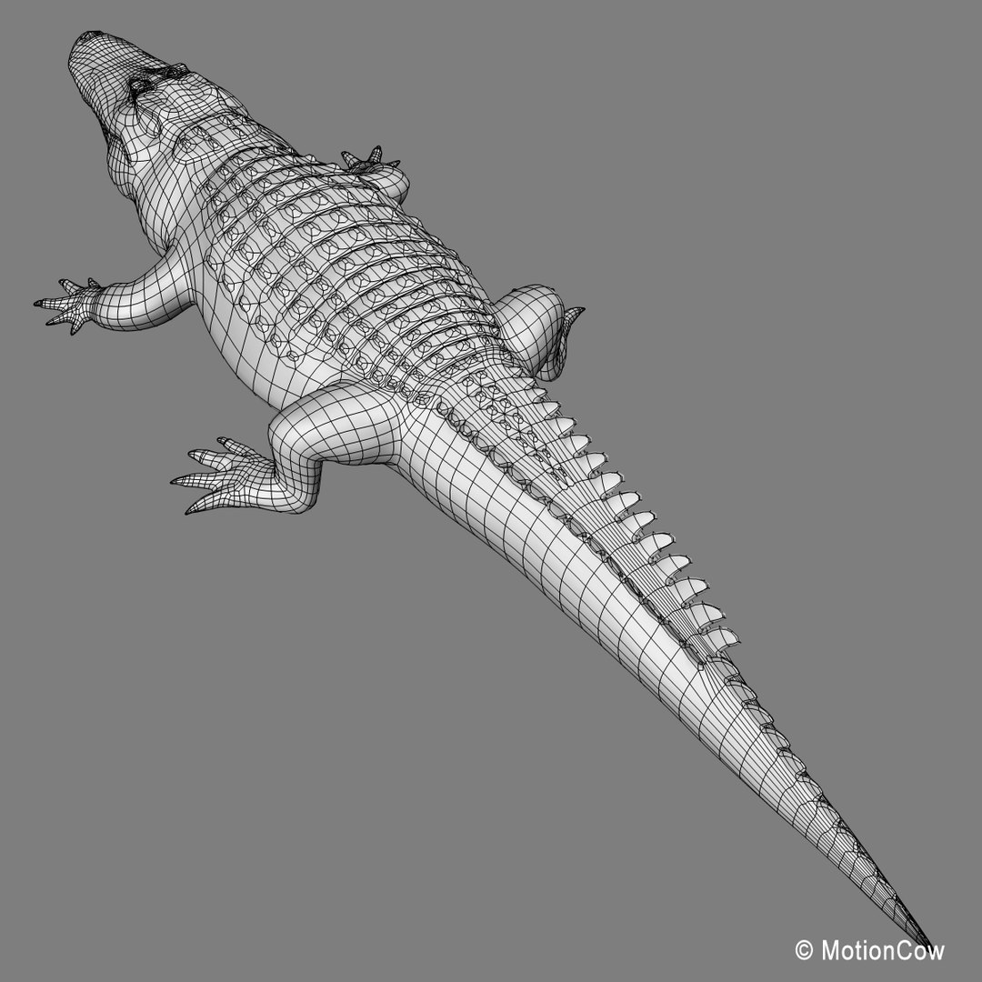 3d realistic alligator