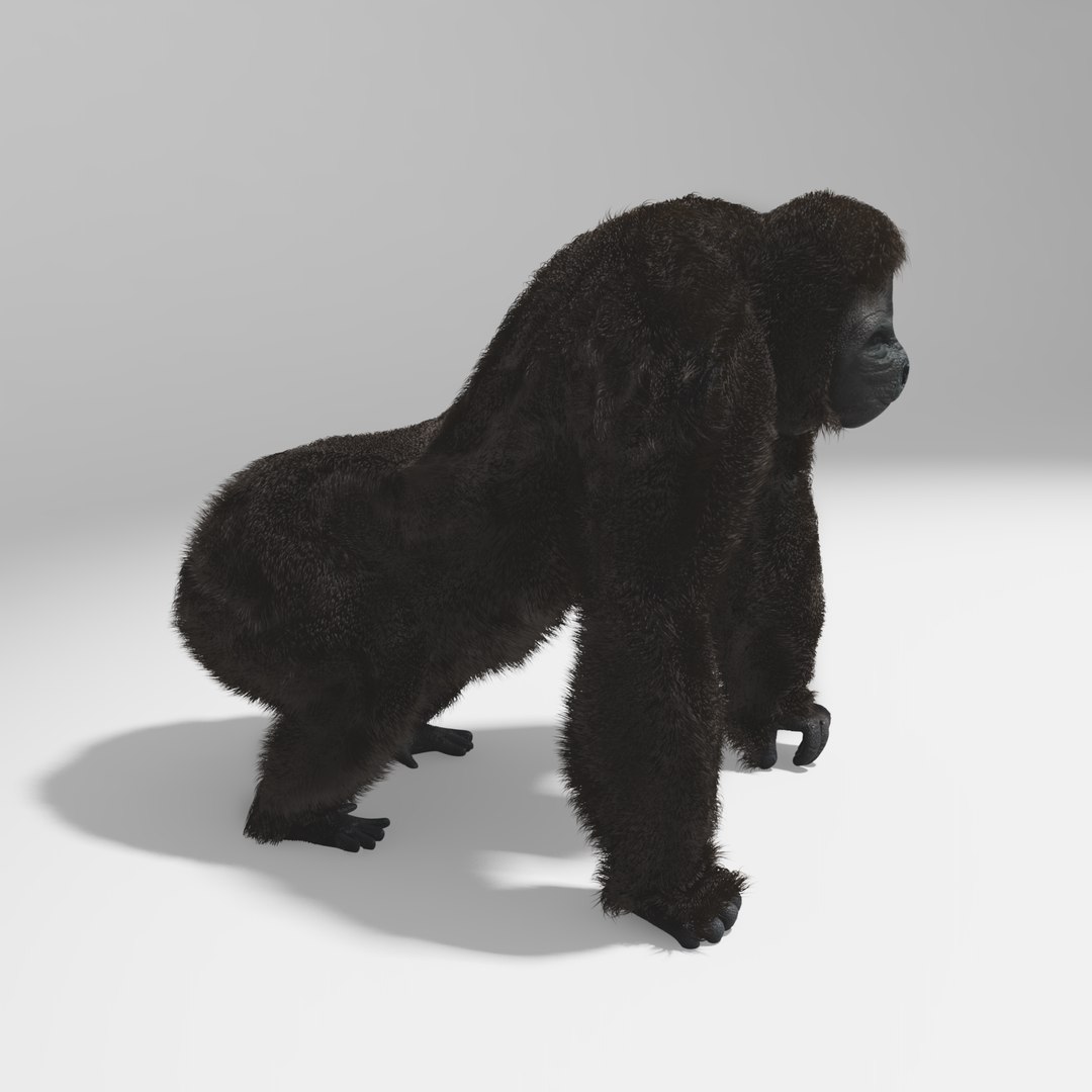 Gorilla 3D Model - TurboSquid 1294051