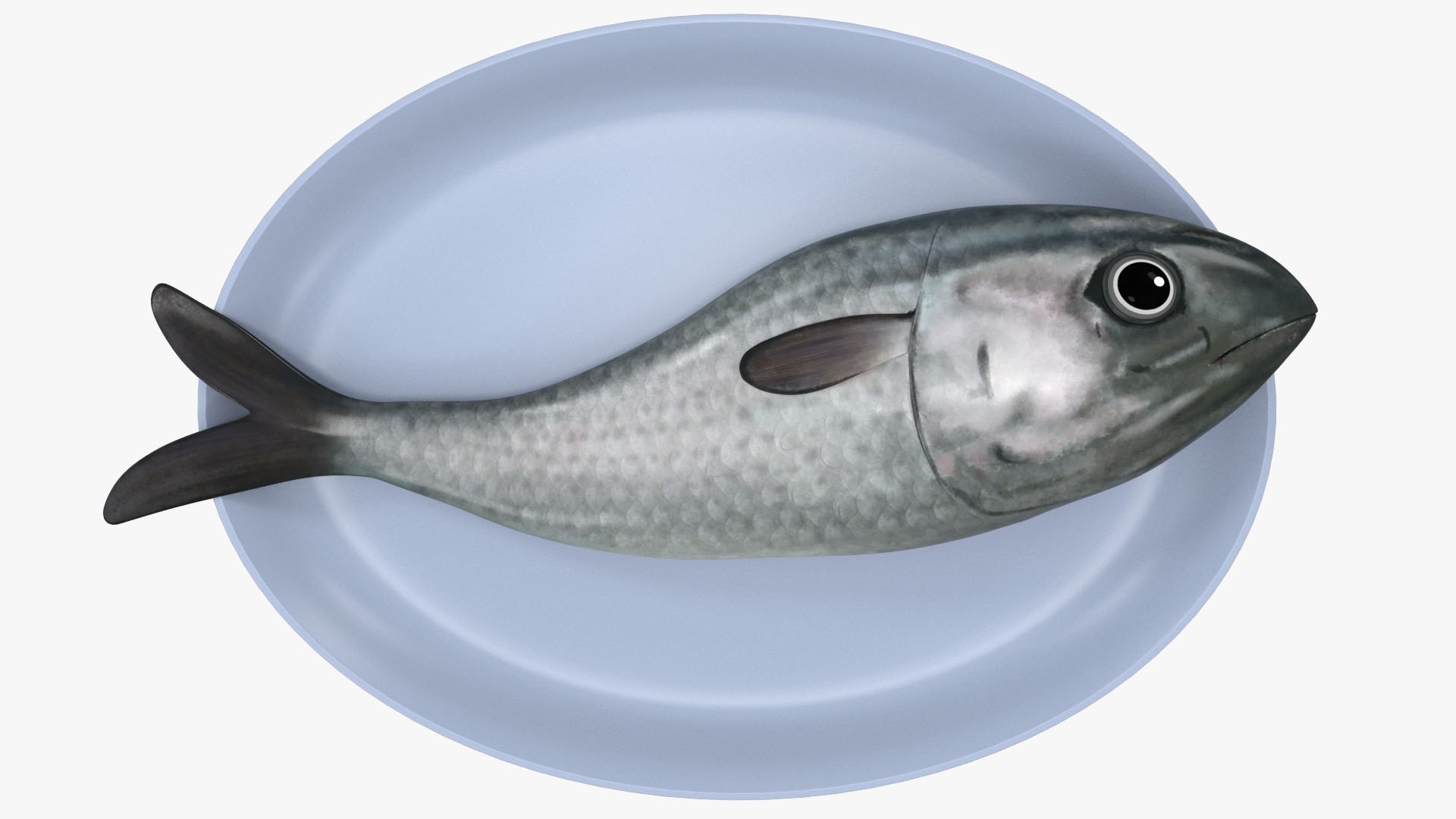 PlateOfRawfish 3D - TurboSquid 2104805