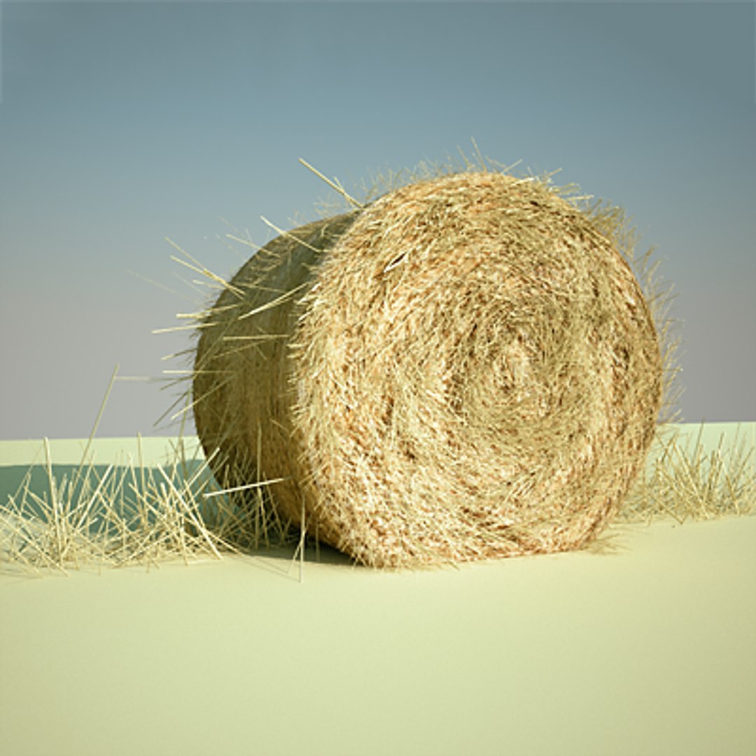 Maya Hay Bale