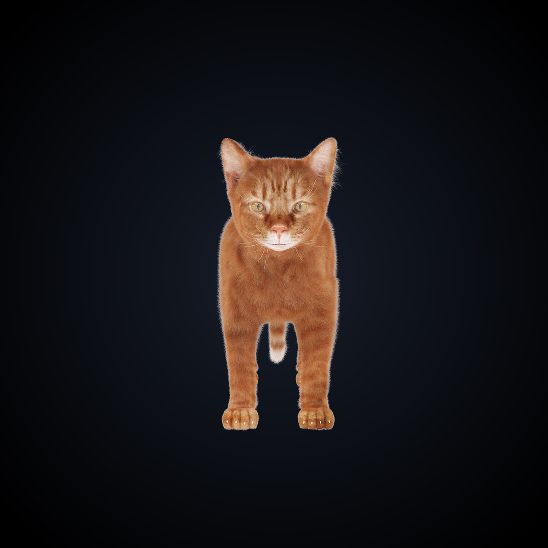 3ds Max Red Cat Feline