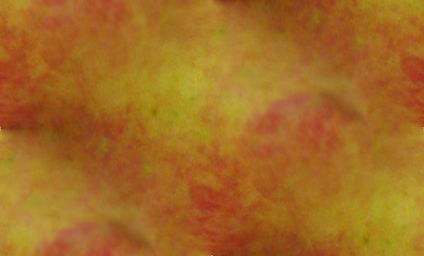 3ds apple fruit