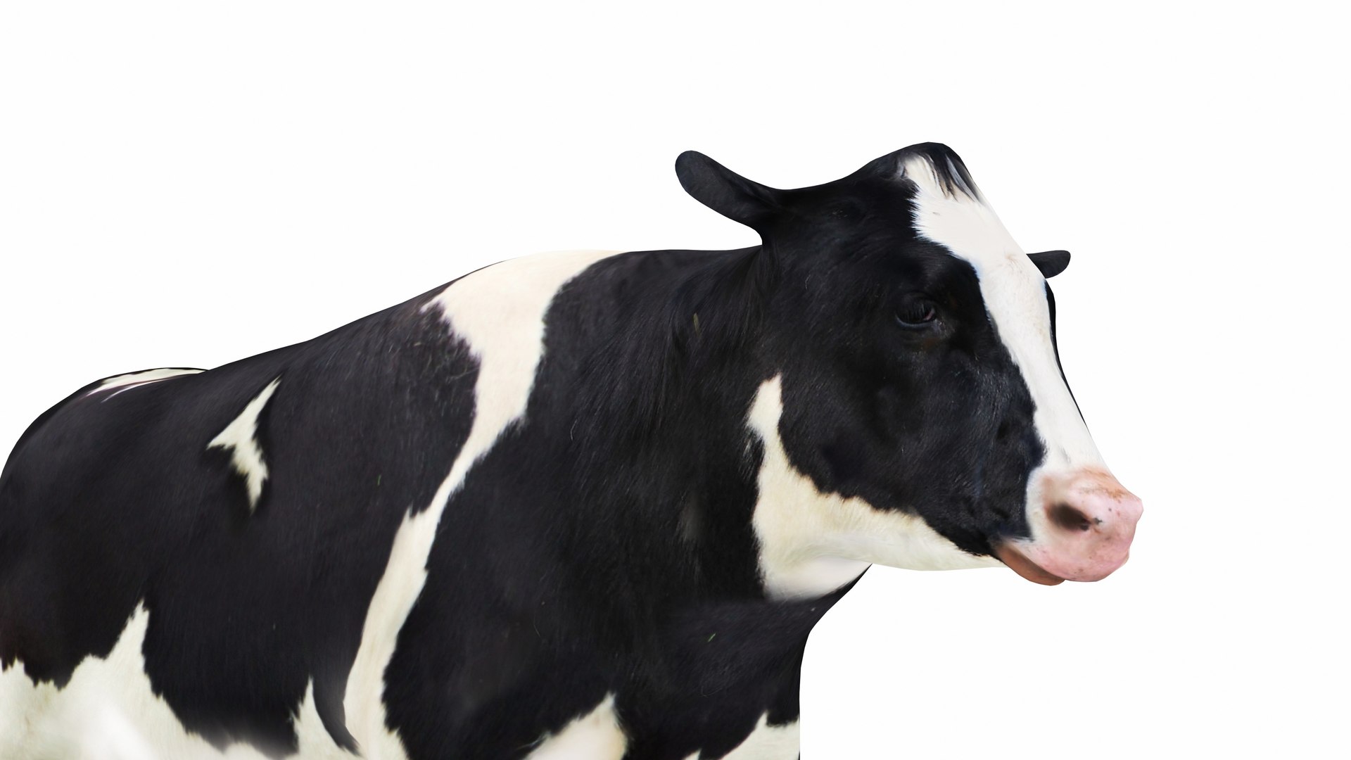 3D 12 In 1 Farm Milking Collection - TurboSquid 2057504