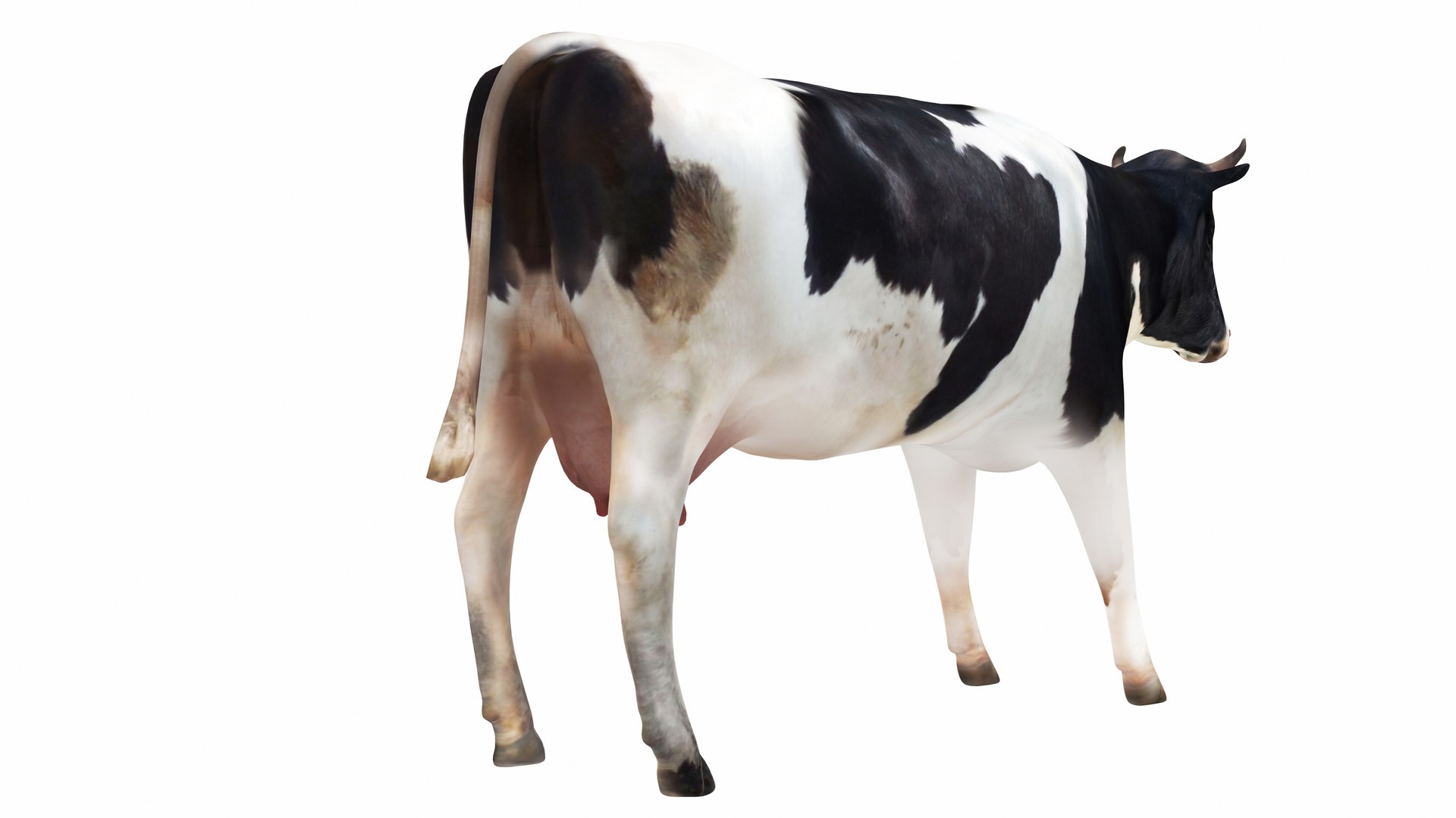 3D 12 In 1 Farm Milking Collection - TurboSquid 2057504