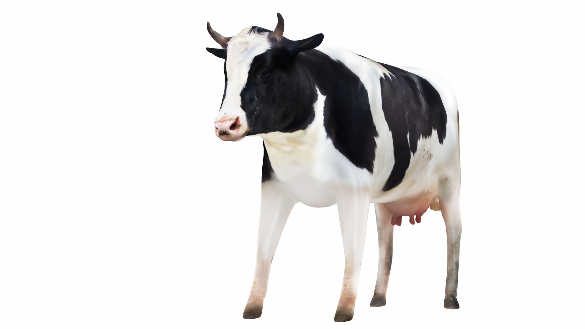 3D 12 In 1 Farm Milking Collection - TurboSquid 2057504
