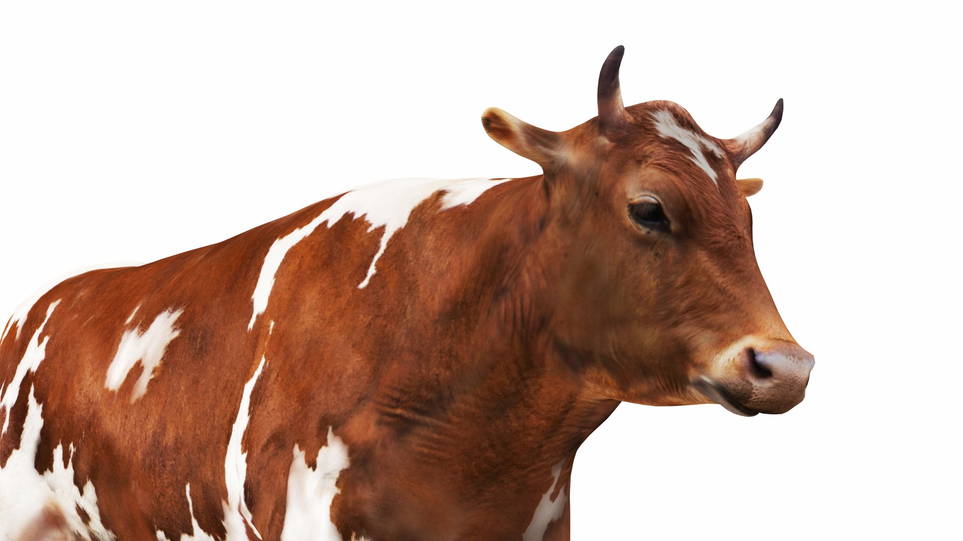 3D 12 In 1 Farm Milking Collection - TurboSquid 2057504