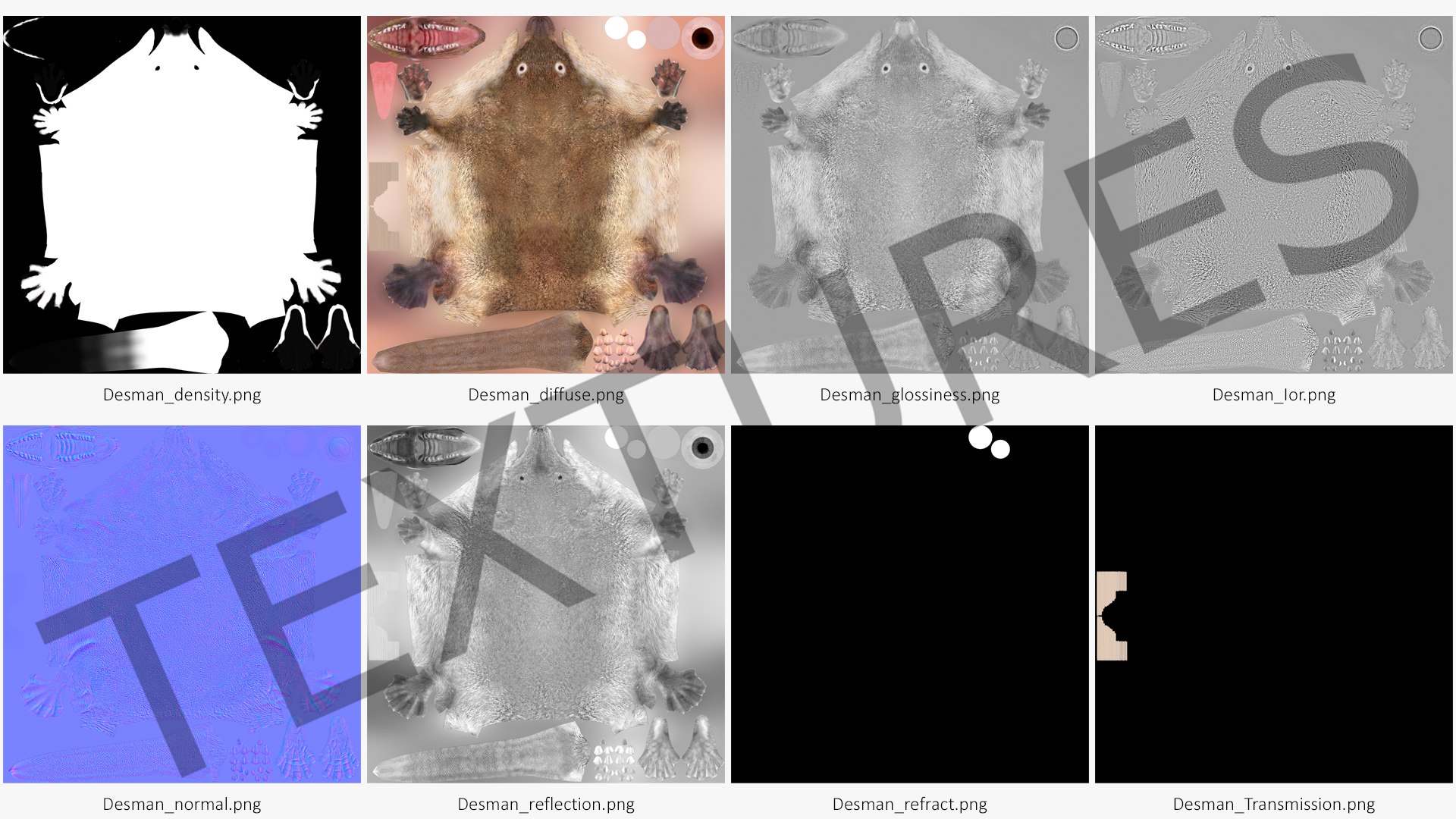 Desmana Moschata Standing Pose Fur 3D Model - TurboSquid 2186337