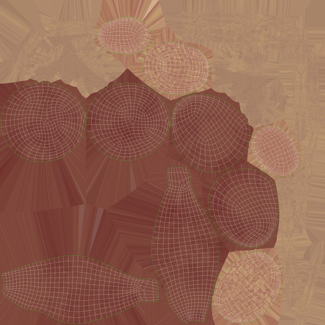 Human Female Urinary System 3D Model - TurboSquid 2197387