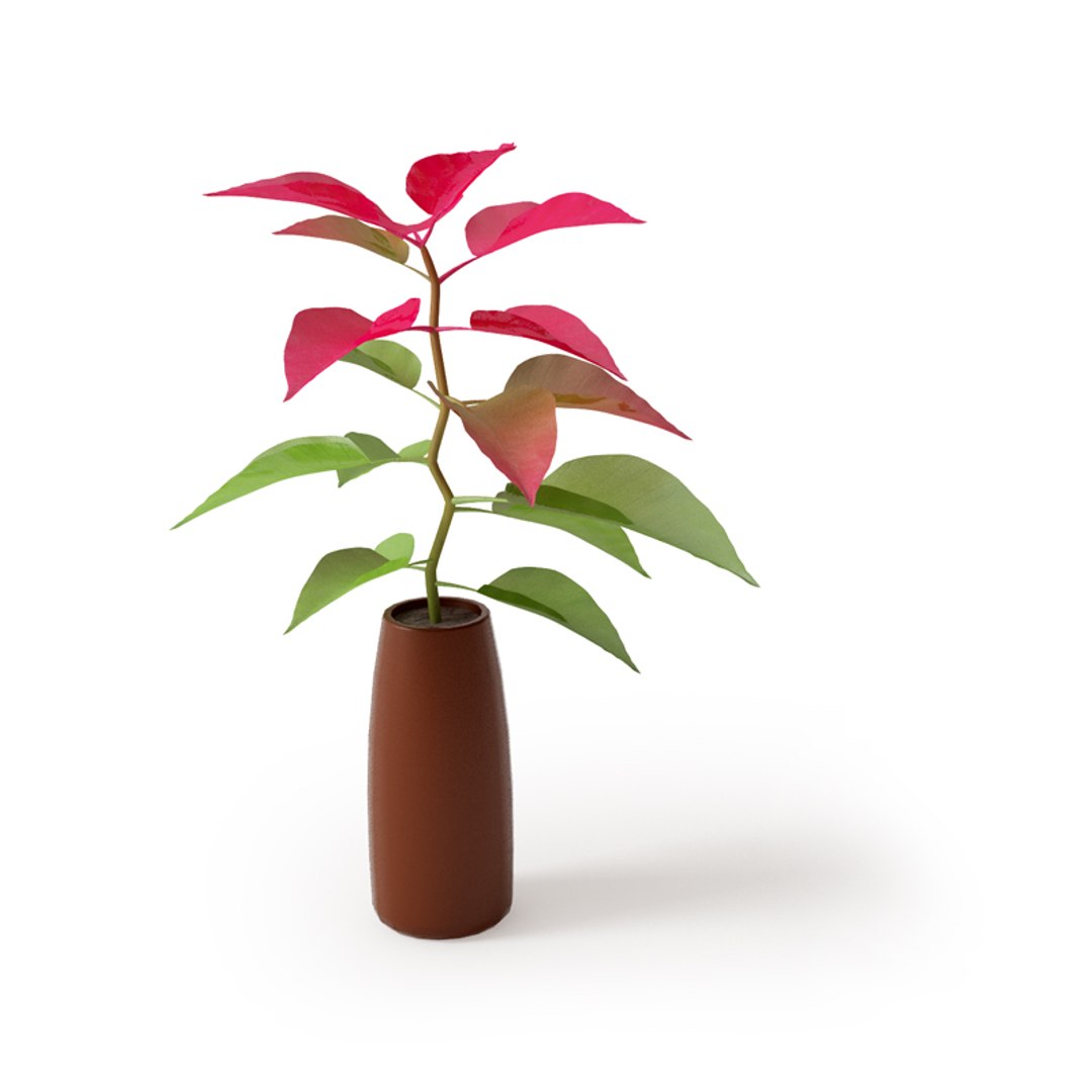 archmodels vol 66 max