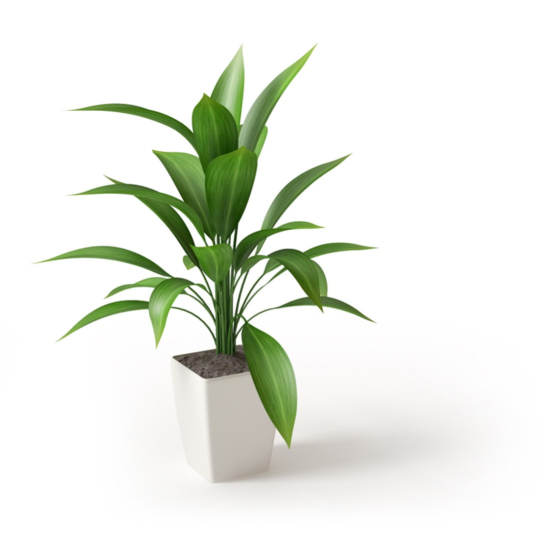 archmodels vol 66 max