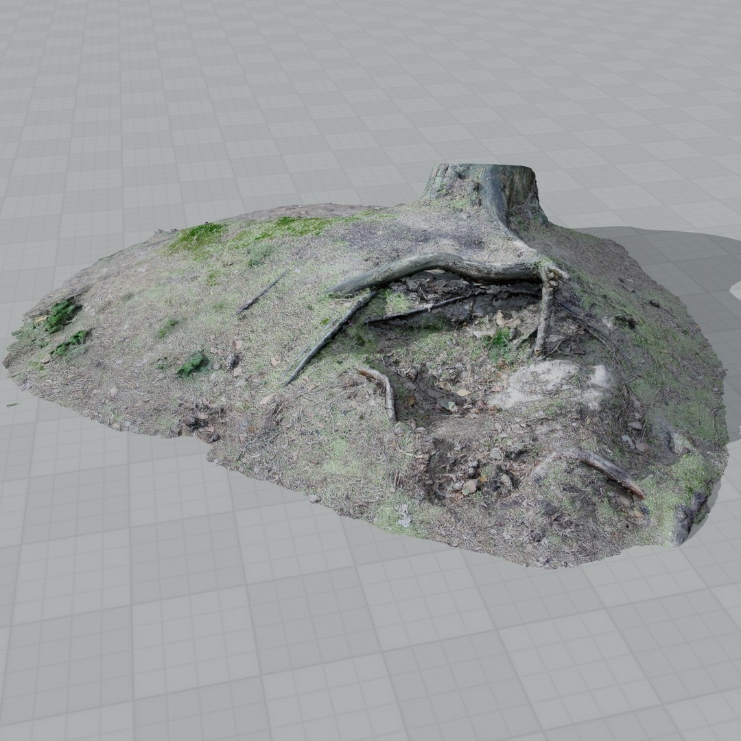 3d model scan tree stump