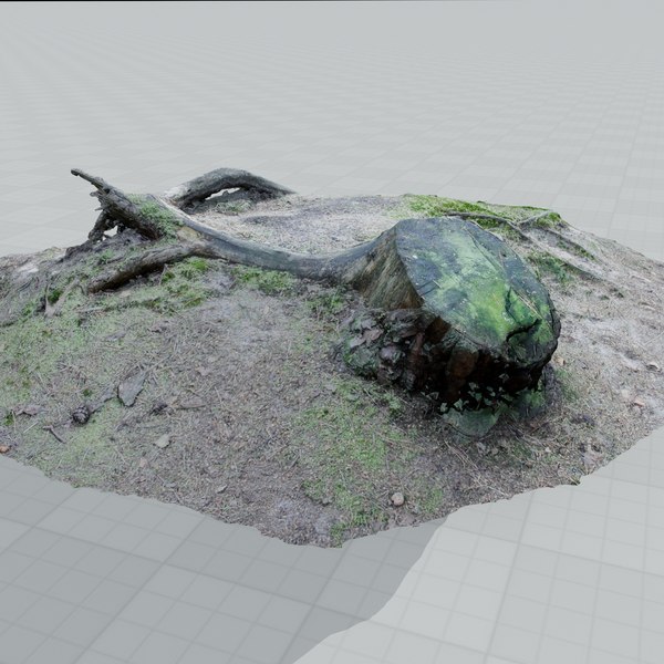 3d model scan tree stump