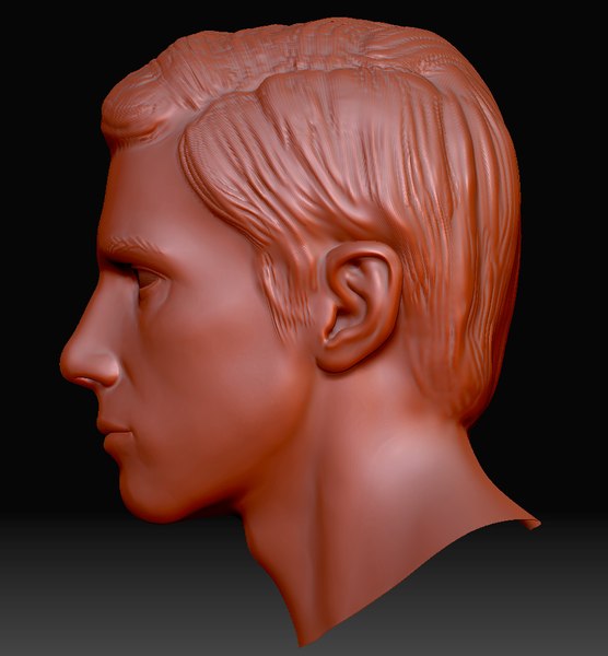 3d model human head