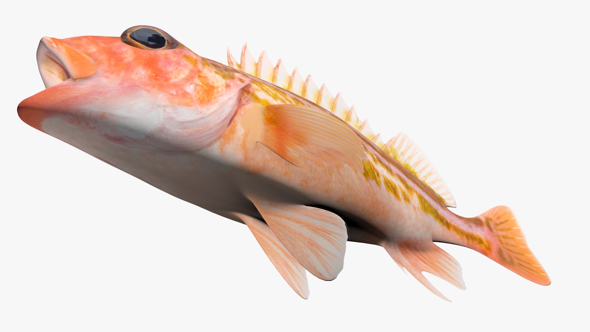 Greenstriped Rockfish Fish 3D - TurboSquid 1667460