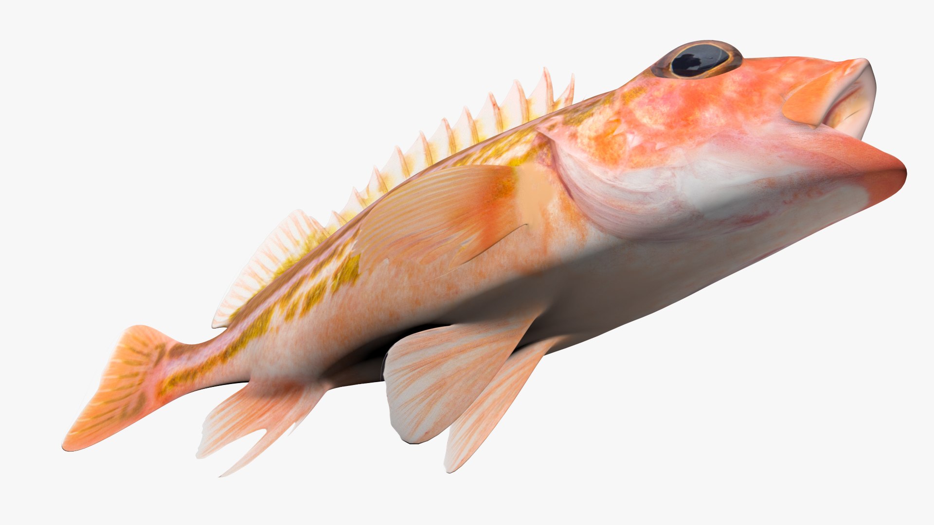 Greenstriped Rockfish Fish 3D - TurboSquid 1667460