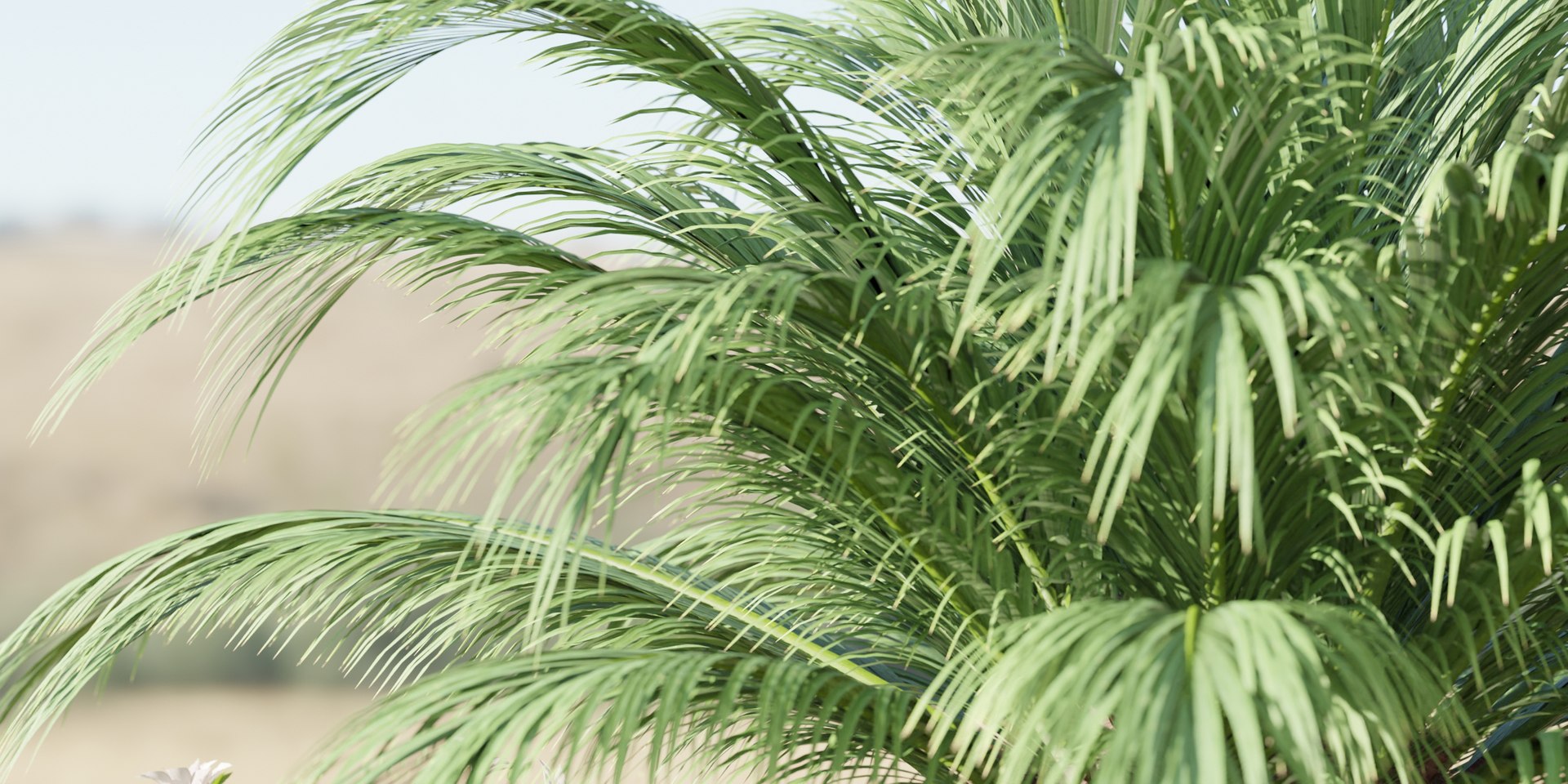 Outdoor collection vol 45-Blender 3D model - TurboSquid 2114272
