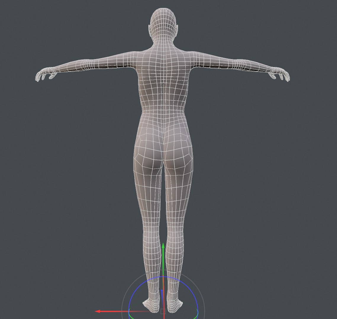 Base Mesh 3D - TurboSquid 1663537