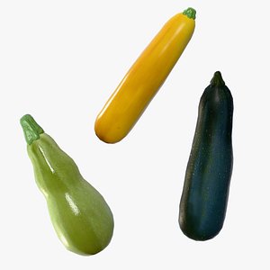 3d Realistic Squash Real Vegetables