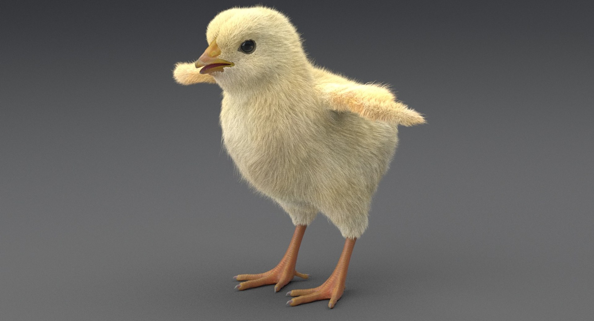 3D Chick Model - TurboSquid 1242669