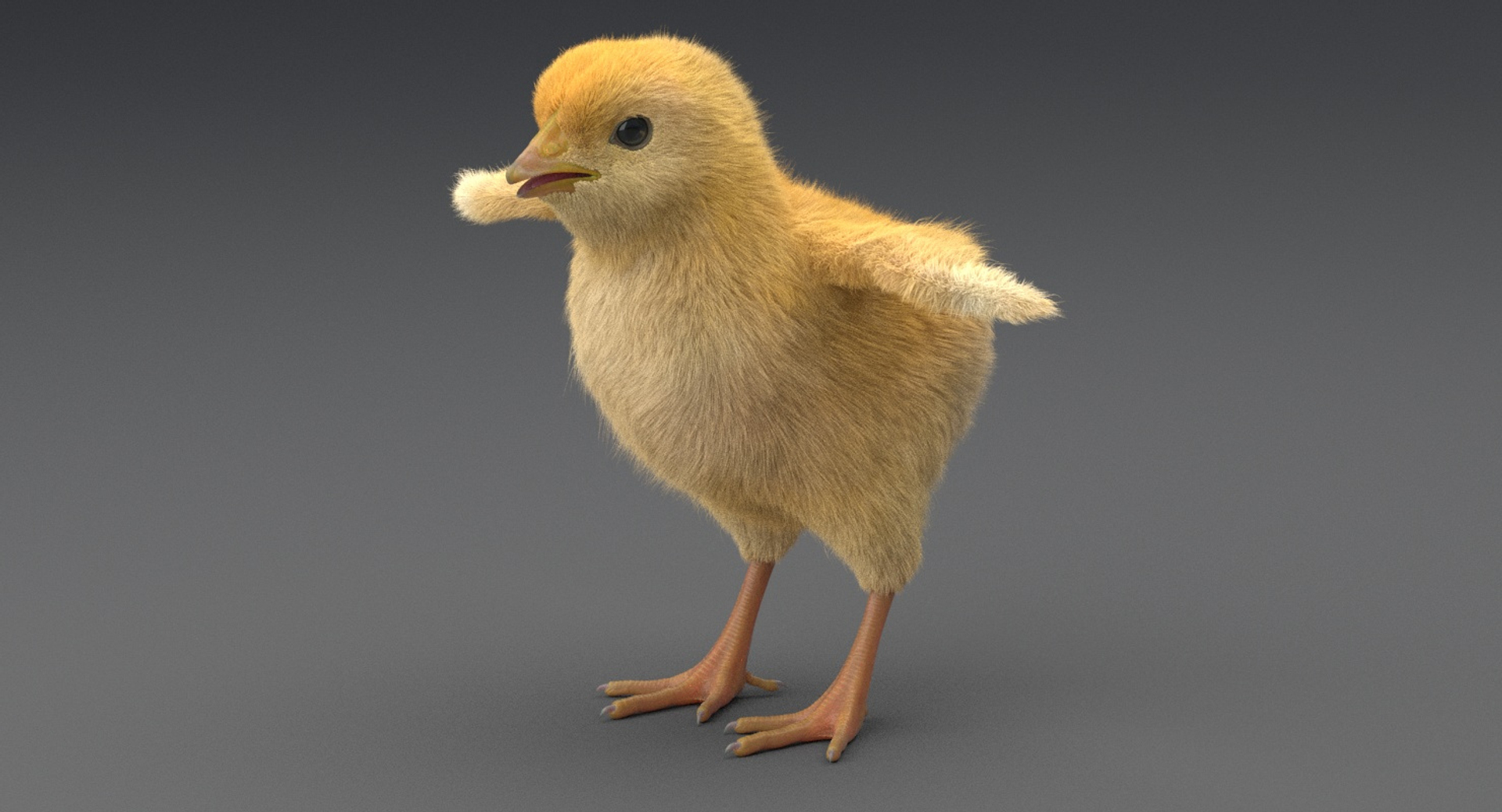 3D Chick Model - TurboSquid 1242669