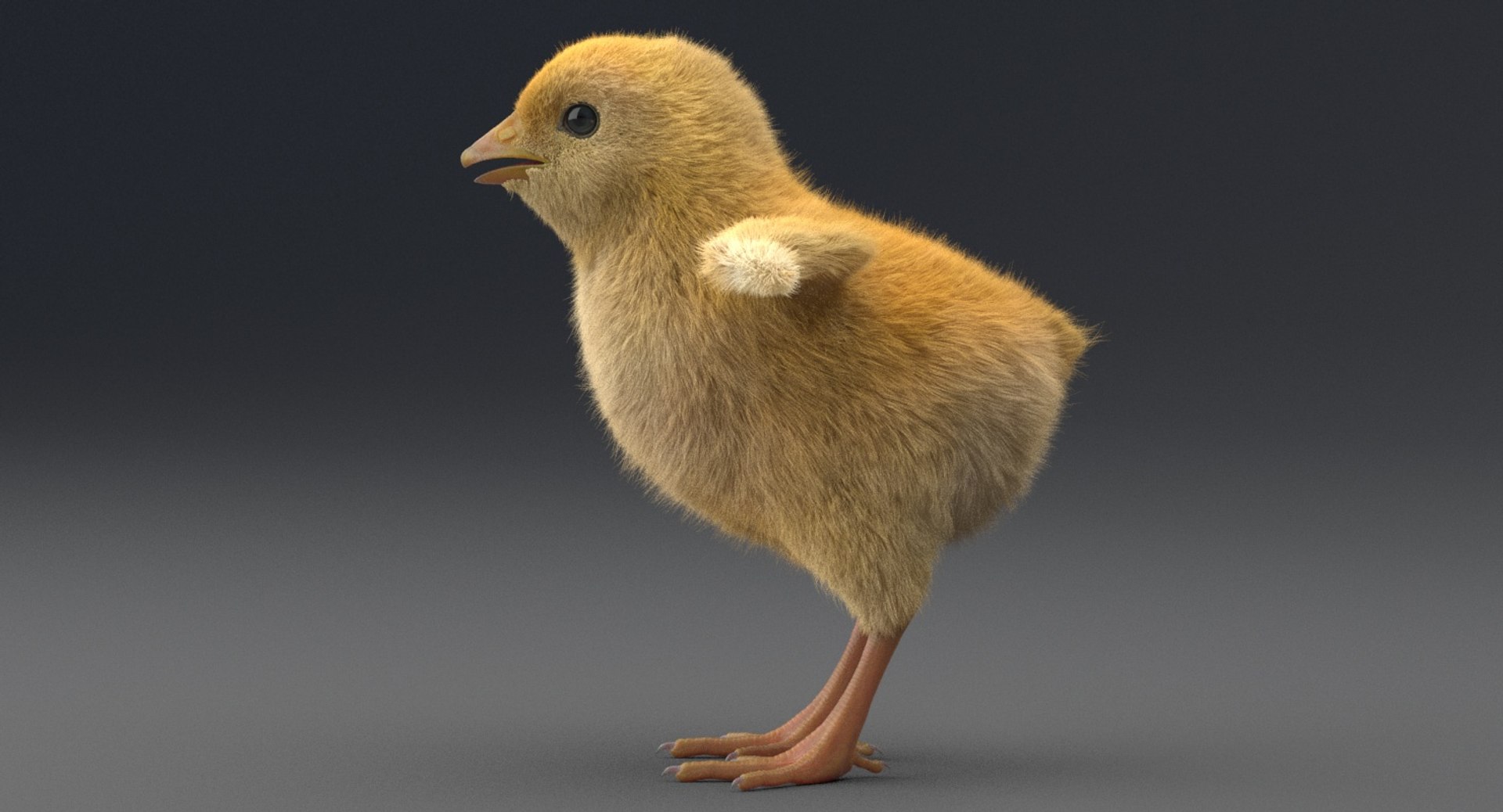 3D Chick Model - TurboSquid 1242669
