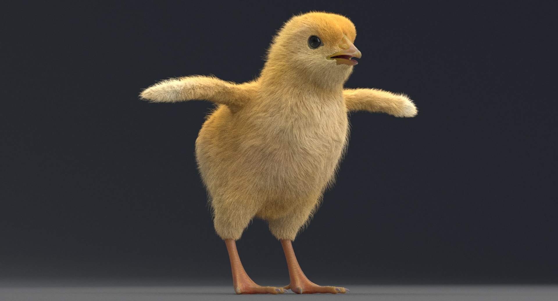 3D Chick Model - TurboSquid 1242669