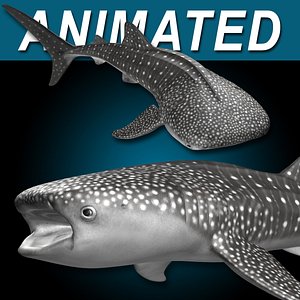Download Free & Premium Shark 3D Models | TurboSquid