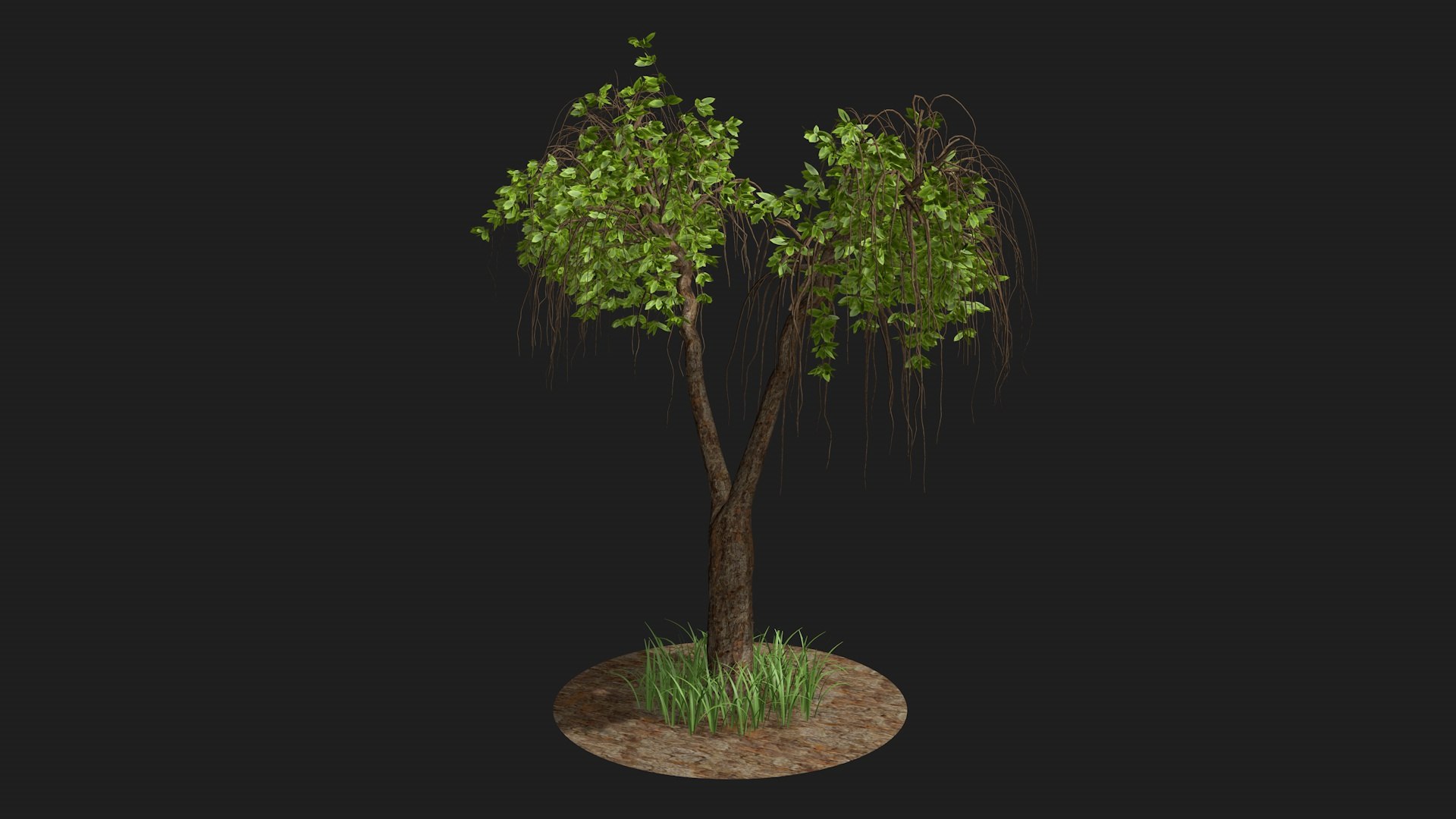 3D Fairy Tree 2 - TurboSquid 1779078